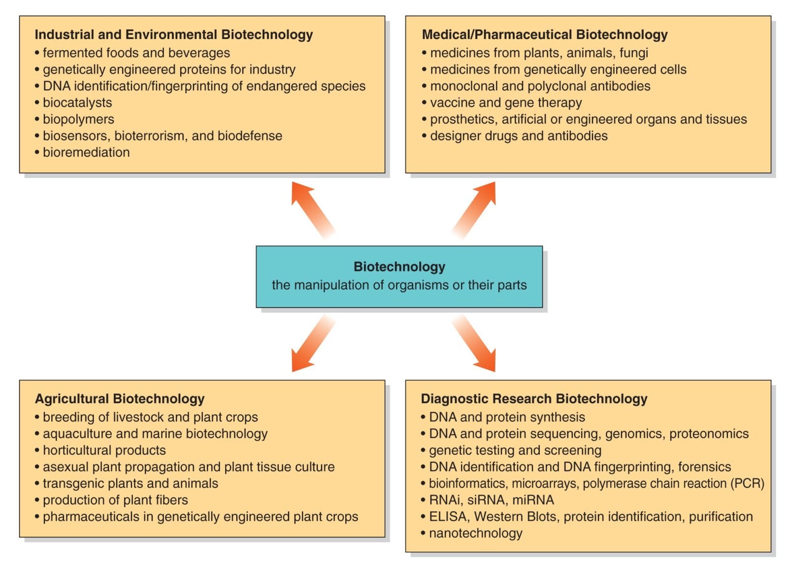 Biotechnology Education: Why it Matters in North Carolina | Sallie B ...